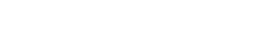 Asset Protection and Tax Advisors | Anderson Business Advisors